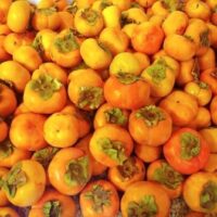 Discovering the Sweet World of Persimmons | Shari Likes Fruit
